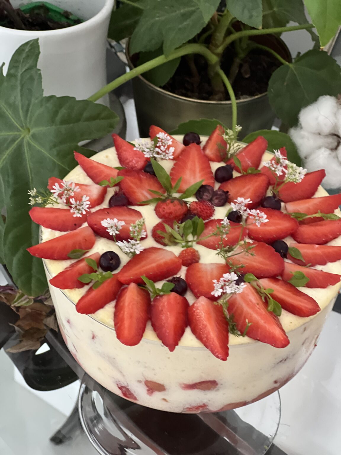Tiramisu di Fragola - Tiramisu aux Fraises - Art de Vivre